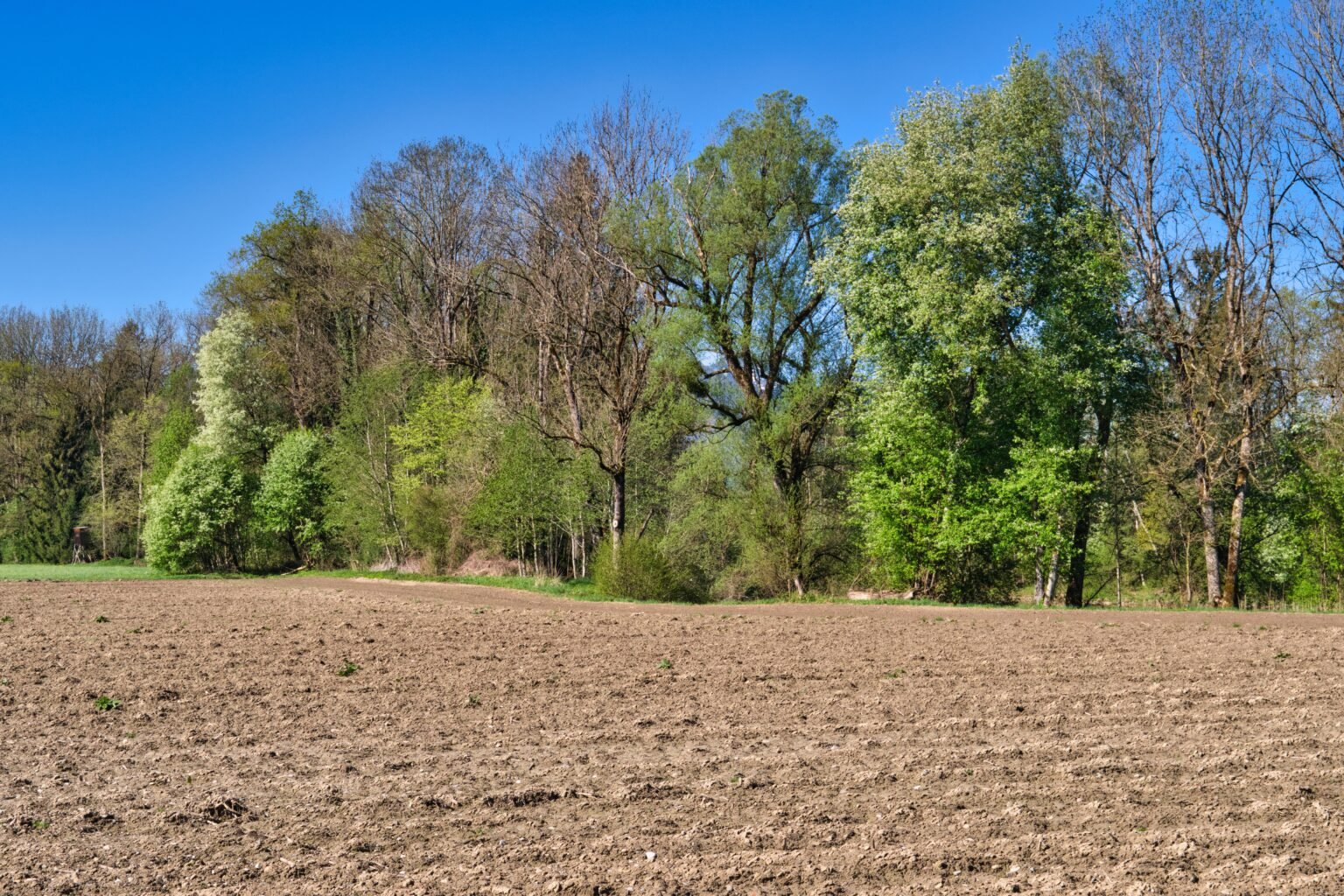 5 Proven Methods for Soil Erosion Prevention and Degradation